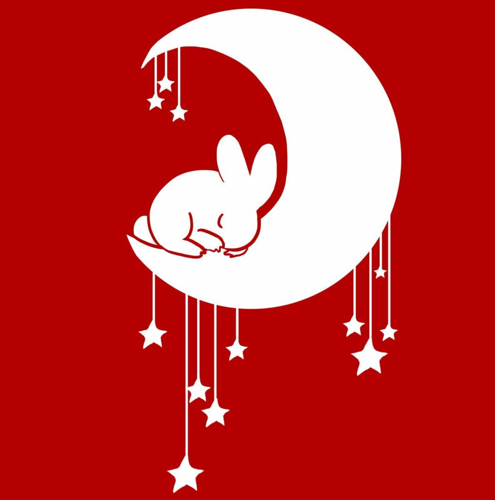 Student Organizations | Northeastern University Asian American Center